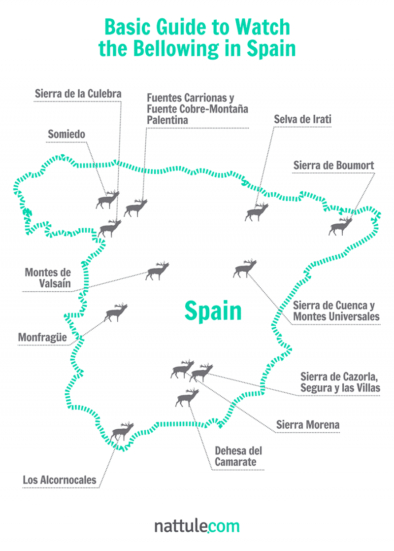 An Autumn Tour Through the Bellowing Sceneries in Spain