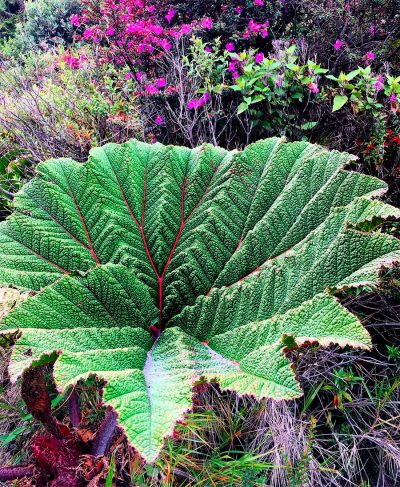 7 impressive volcanoes in the country of life and fire: Costa Rica