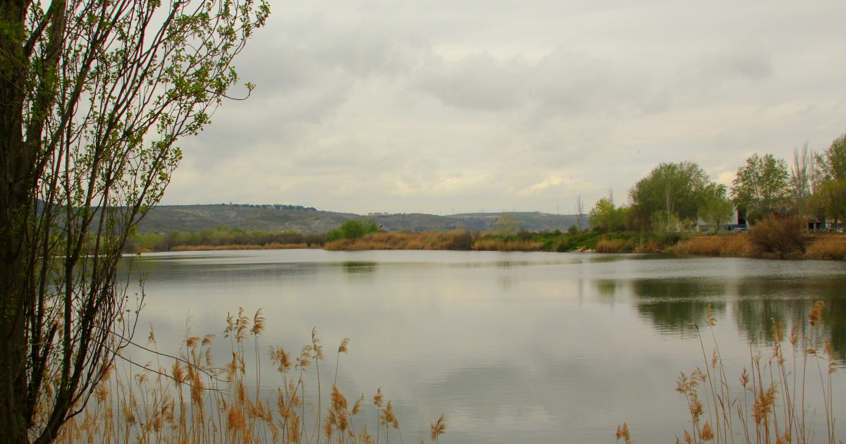 Sureste Regional Park: what to see in 2017 (a rout guide)